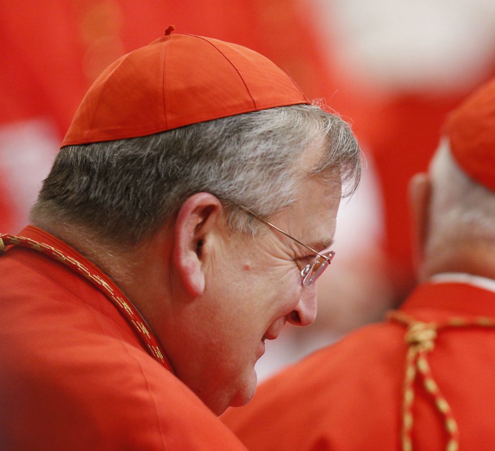 Cardinal Burke Is Inconsistent On Constant Teaching Of The Church
